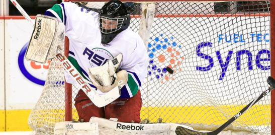 ASHL players take the ice at Rogers Arena™ - Adult Safe Hockey League ...