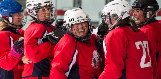 Playoff picture continues to take shape for Week 1 - Adult Safe Hockey ...
