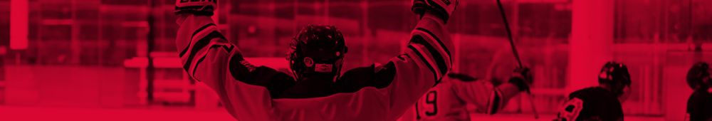 WE ALL PLAY HERE. - Adult Safe Hockey League | ASHL