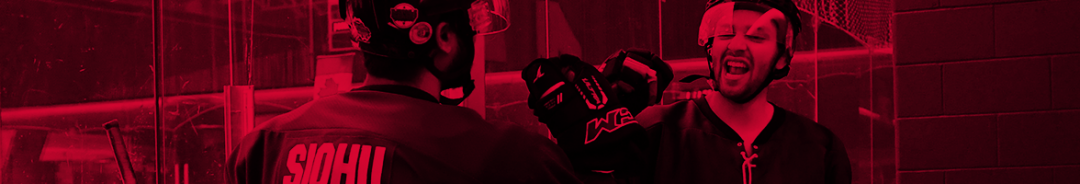 WE ALL PLAY HERE. - Adult Safe Hockey League | ASHL