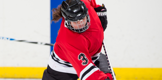 ASHL Update: April 7th - Adult Safe Hockey League | ASHL