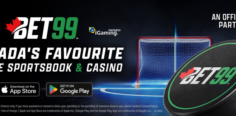 Home - Adult Safe Hockey League | ASHL